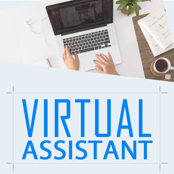 Virtual Assistant Program for Dropshipping Stores
