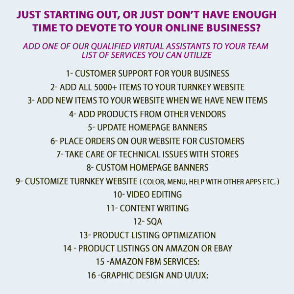 Virtual Assistant Program for Dropshipping Stores